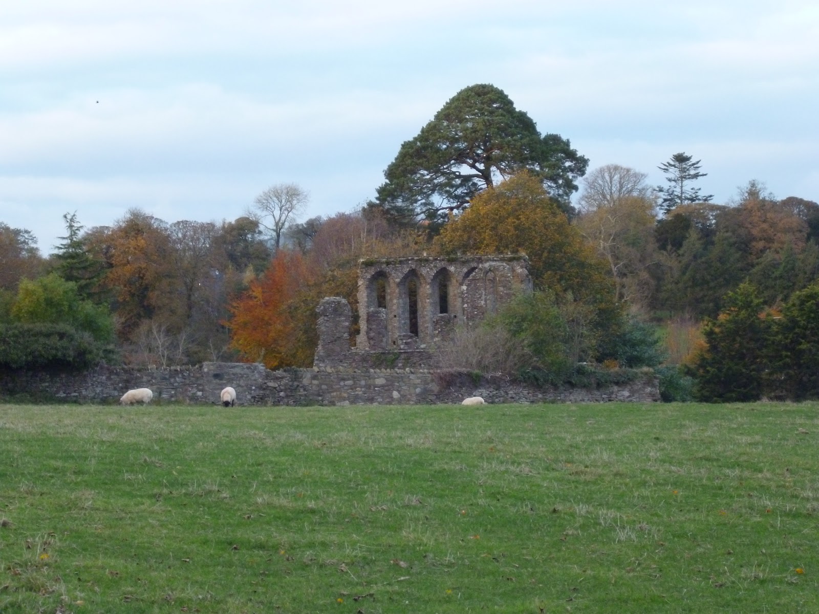 The Castle Hunter: Ferns St. Mary’s Augustinian Abbey *FREE SITE**