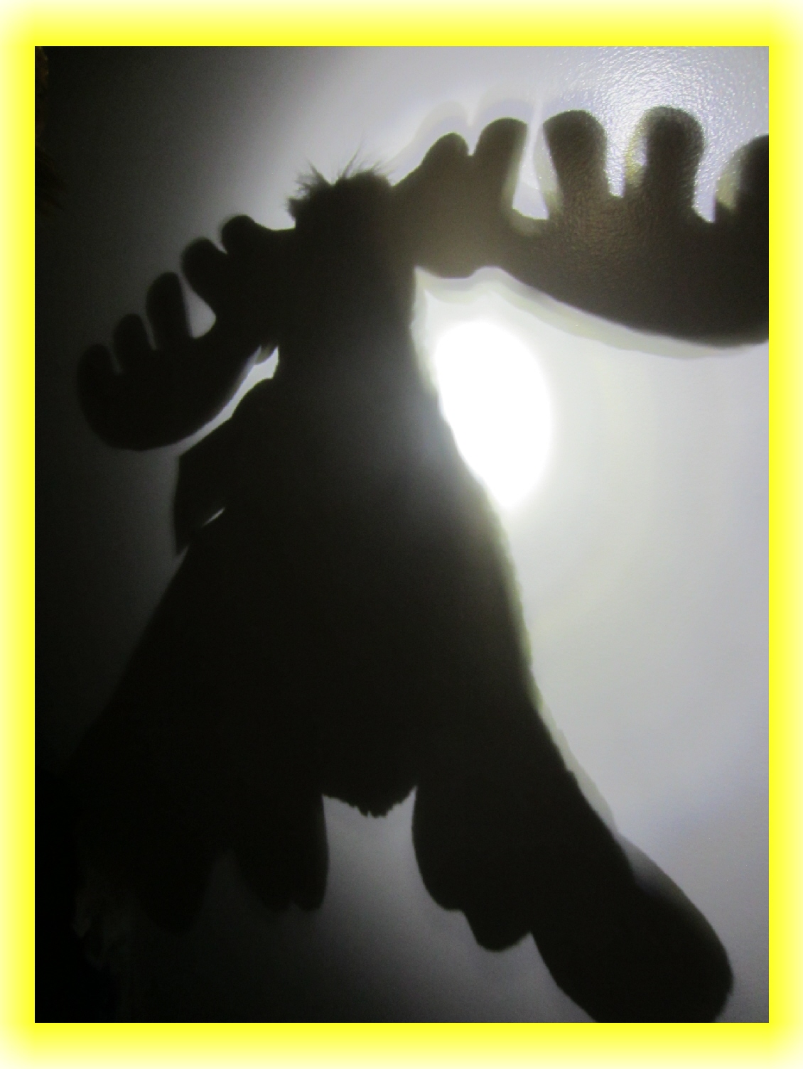 Moose Musings from THE MOOSE ROOM!: What happens when a moose sees his ...