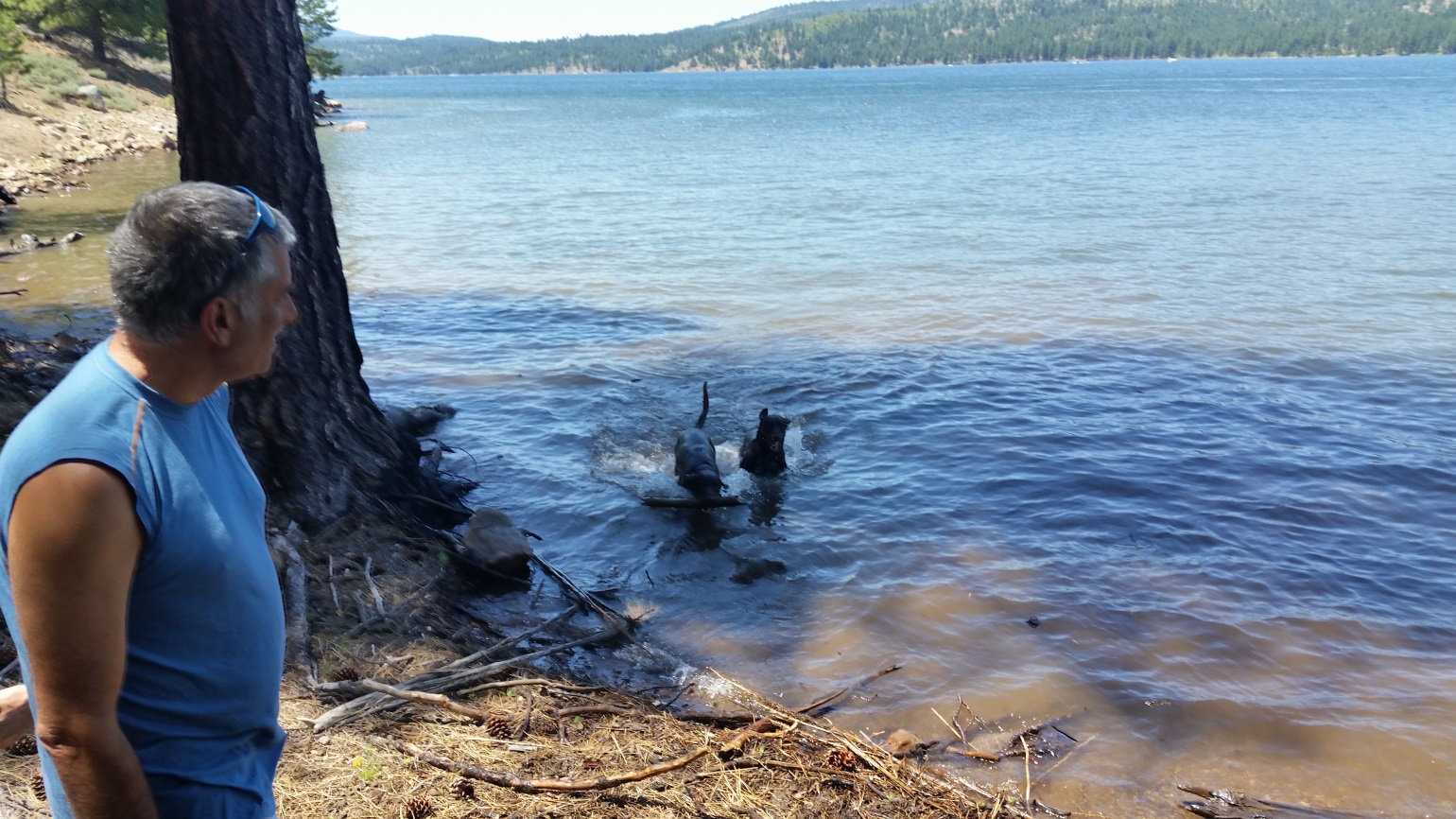 Wes' Travels to California Lakes: Stampede Reservoir - Sierra County ...