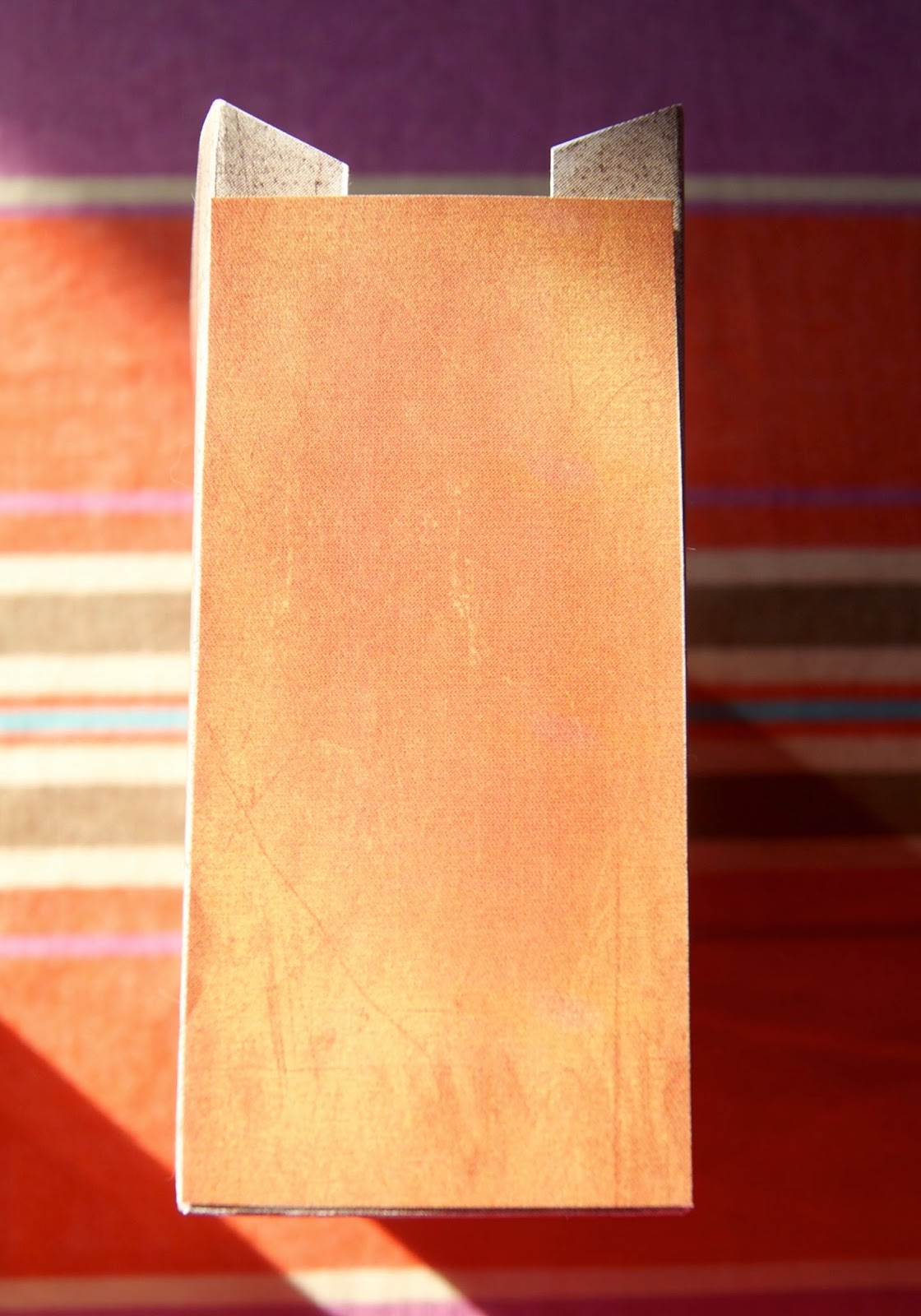 The Cherry On Top: Paper Camera Project With Templates