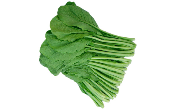 Como plantar mostarda Cultivar Plantas Como Plantar