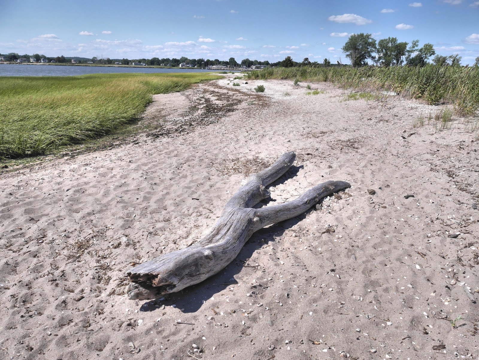 The Size Of Connecticut Grass Island