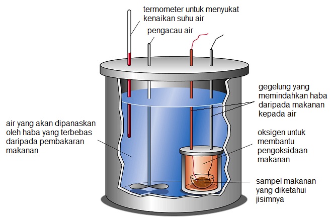 Sains 4 5: Kepentingan mengambil pemakanan yang baik dan mengamalkan ...