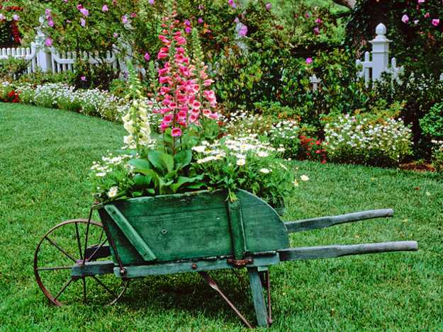 Two Men and a Little Farm: WHEELBARROW FLOWERS INSPIRATION THURSDAY