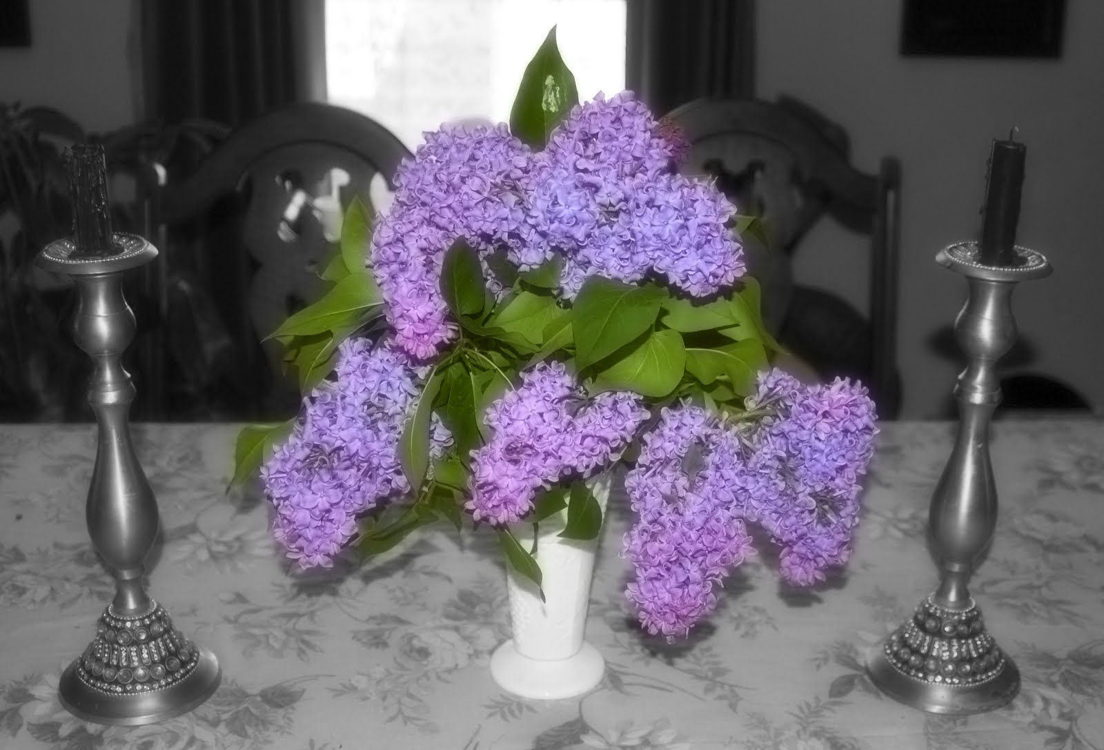 There and Back Again: Lilacs