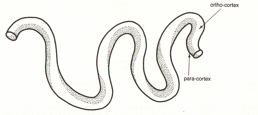 Art Quill Studio: Protein Fibers – Wool[1-2]Art ResourceMarie-Therese ...