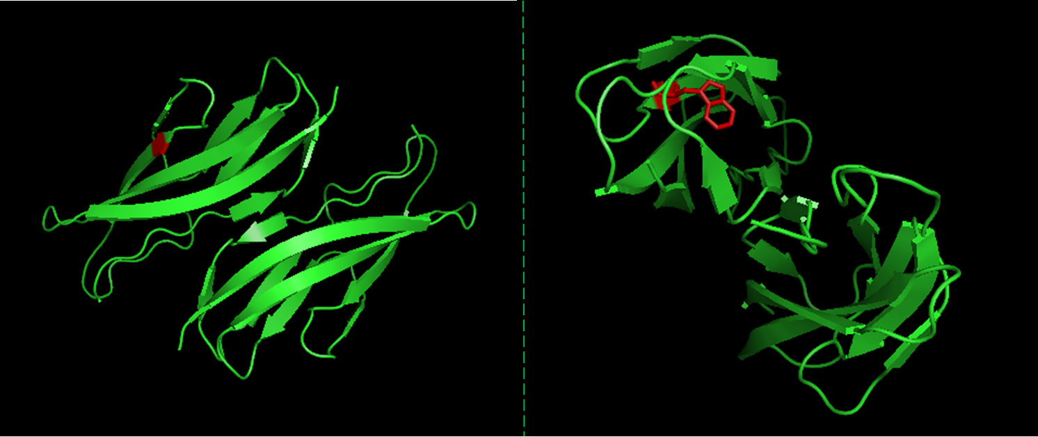 Structure of Collagenase G and Mechanism of Bacterial Collagenolysis ...