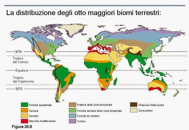 Diario di scuola: CLIMI E BIOMI in 3G