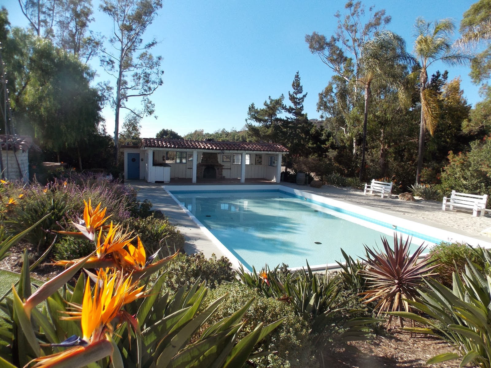 The Schramm Journey: Carrillo Ranch- Carlsbad, California