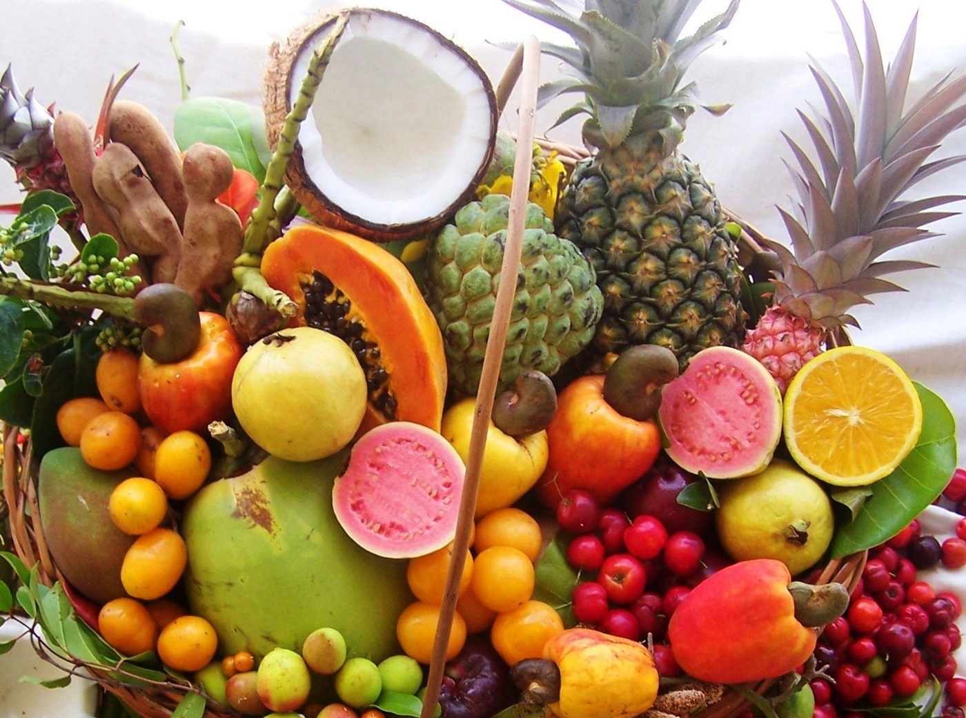 Blog do Edu Ambiental: Fruto