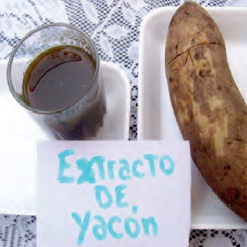 Receta: Extracto de Yacón