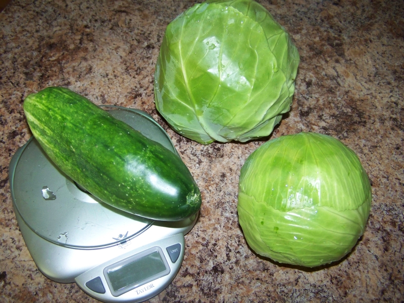 Annie's Kitchen Garden: July 2, 2012 - Harvest Monday