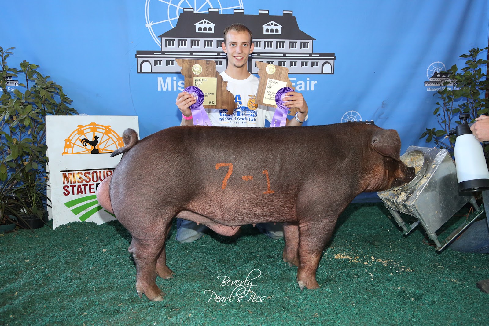 NSR Fieldview: Missouri State Fair - Open Durocs