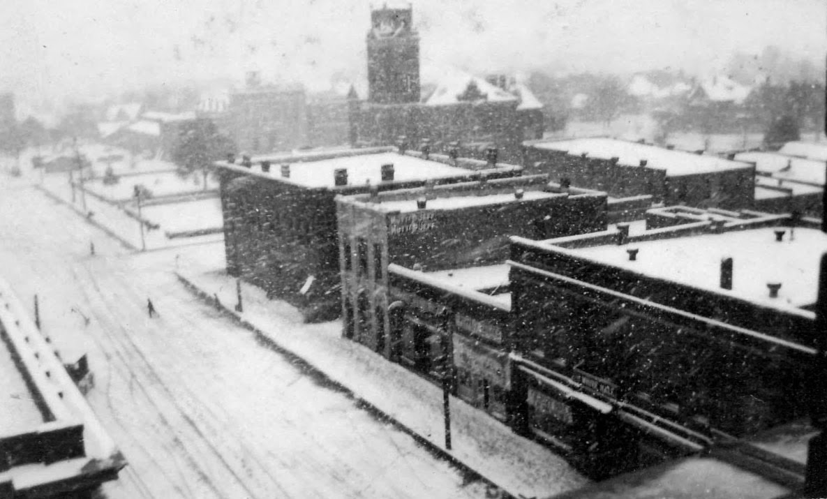 The Ways of Nature: THE SNOWFALL OF THE CENTURY, ALMOST