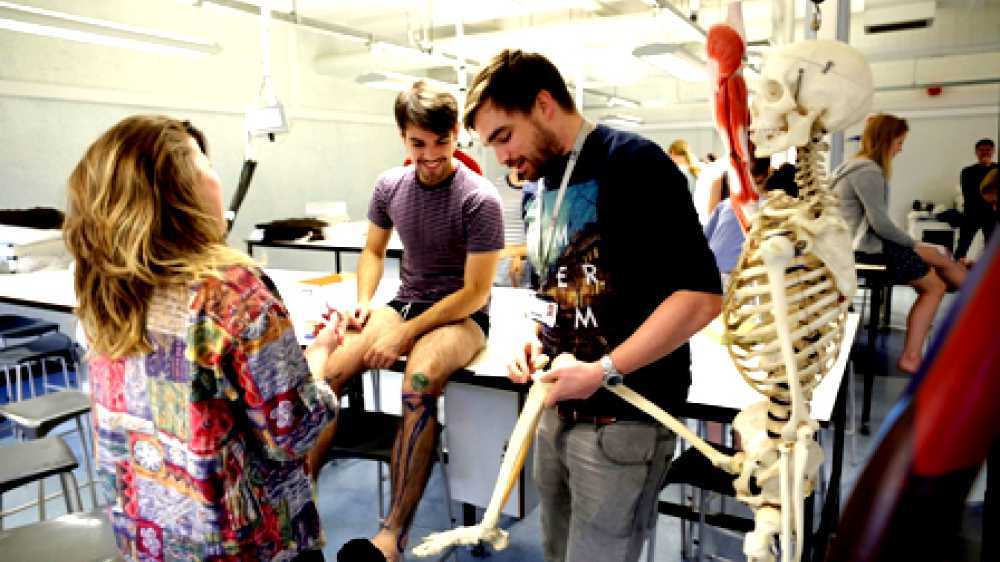 Barts and The London School of Medicine and Dentistry