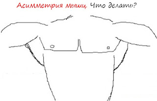 The asymmetry of the muscles. What to do? ~ AZ Bodybuilding
