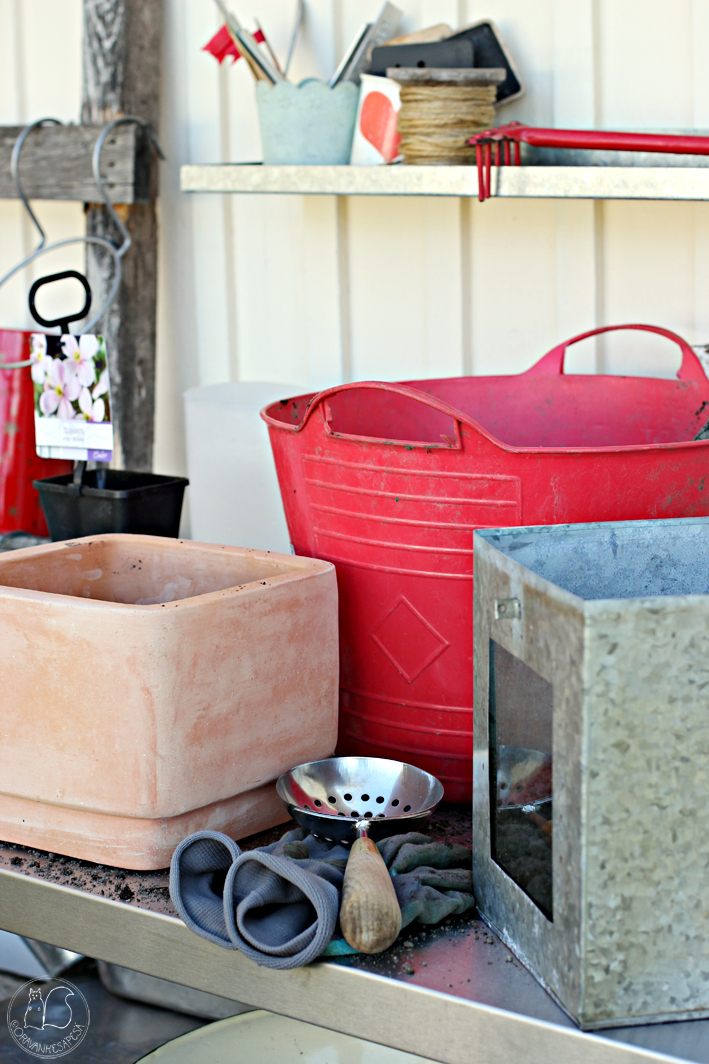 Oravankesäpesä: MÖKKEILYÄ JA KASVIOSTOKSIA.