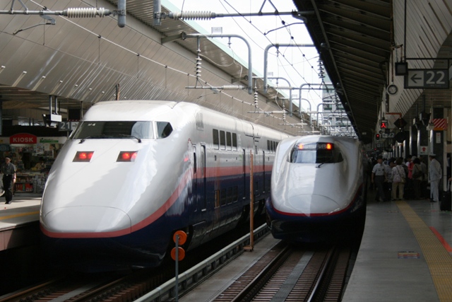 Tokyo Railway Labyrinth: EMU JR East E1 and E4 Series, Duplex Shinkansens