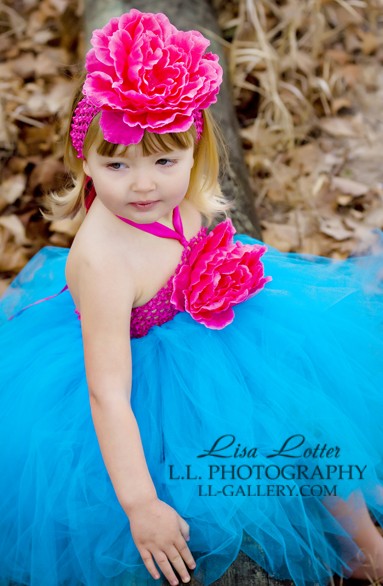 Domesticated Diva: Take Two on the Tutu-- TUTU DRESS