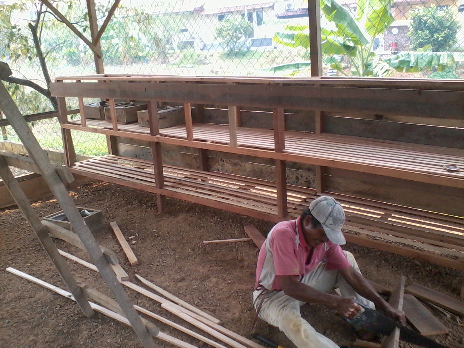 Penternakan Ayam Kampung: Reban baru