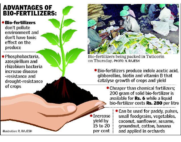 Bio fertilizers