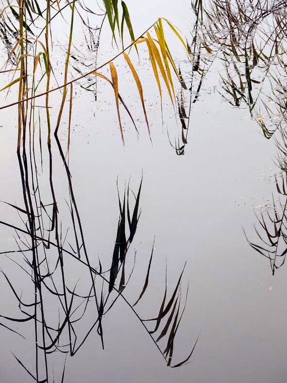 Urban and Post-Industrial Nature: Winlaton Mill - from iron foundry and ...
