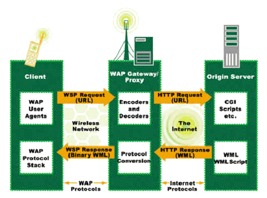 LAN (Local Area Network): WAP internet through computer data