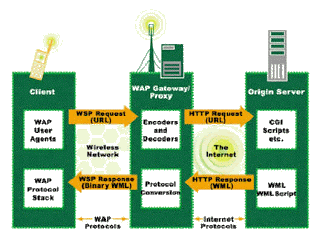 LAN (Local Area Network): WAP internet through computer data