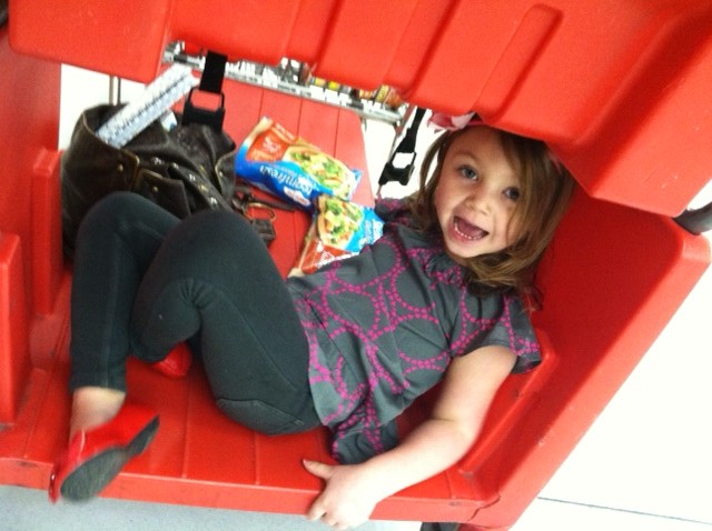 Ashlea Carlin: Another Obsene Grocery Trip