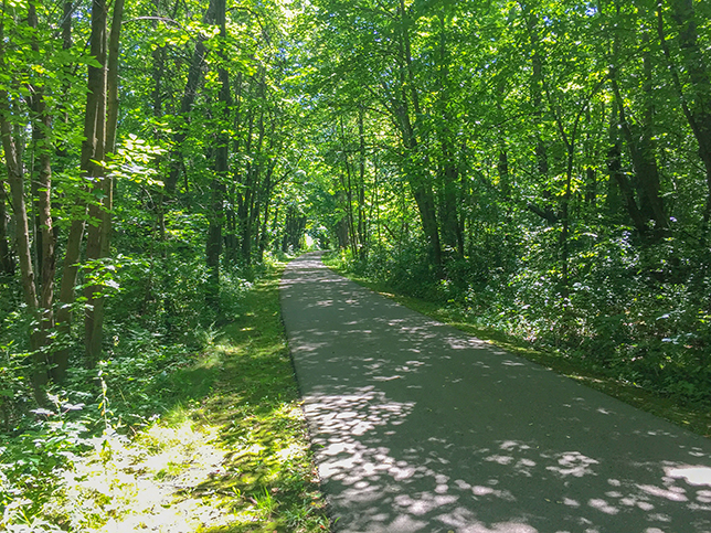 Wisconsin Explorer: The Bugline Trail