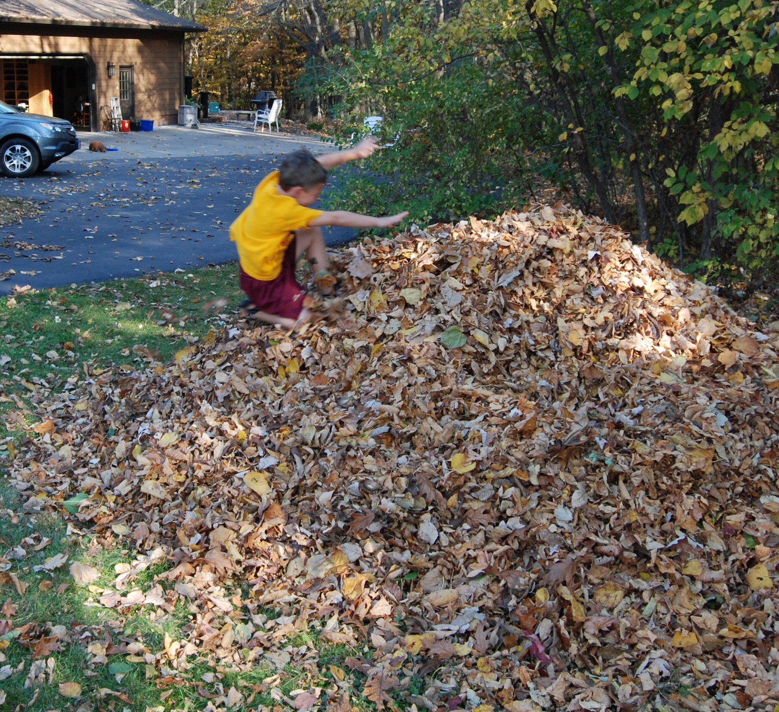 a blonde and 3 boys: Biggest Leaf Pile..EVER!