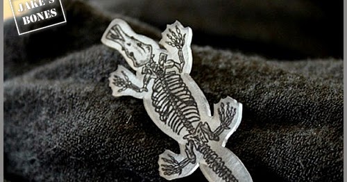 17 great Christmas gifts for bone collectors : Jake's Bones