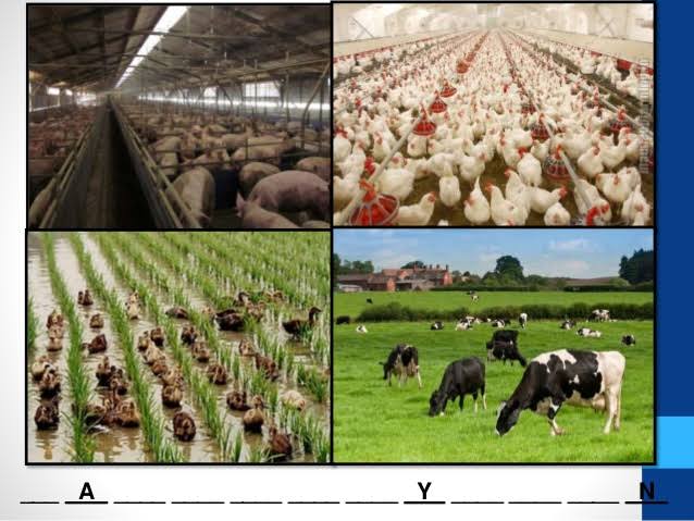 Pagsasaka : Ang Pasasaka o Pagtatanim