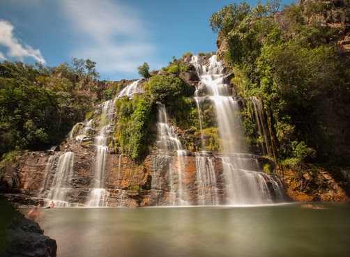 The Tropical Savanna in Brazil (The Cerrado): What Can Be Done...