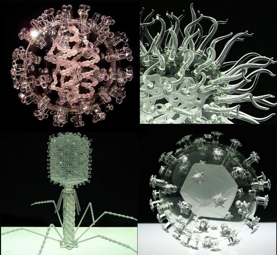 Hybrids of Art and Science: Beautiful Viruses