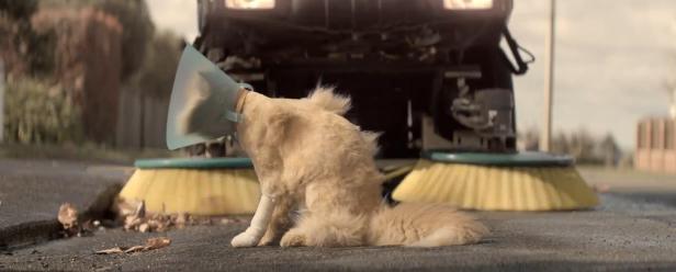 Ad Agency: Saatchi & Saatchi, New Zealand