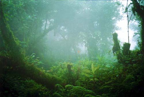 Koen's Blogger de blog.: In de natuur slapen.