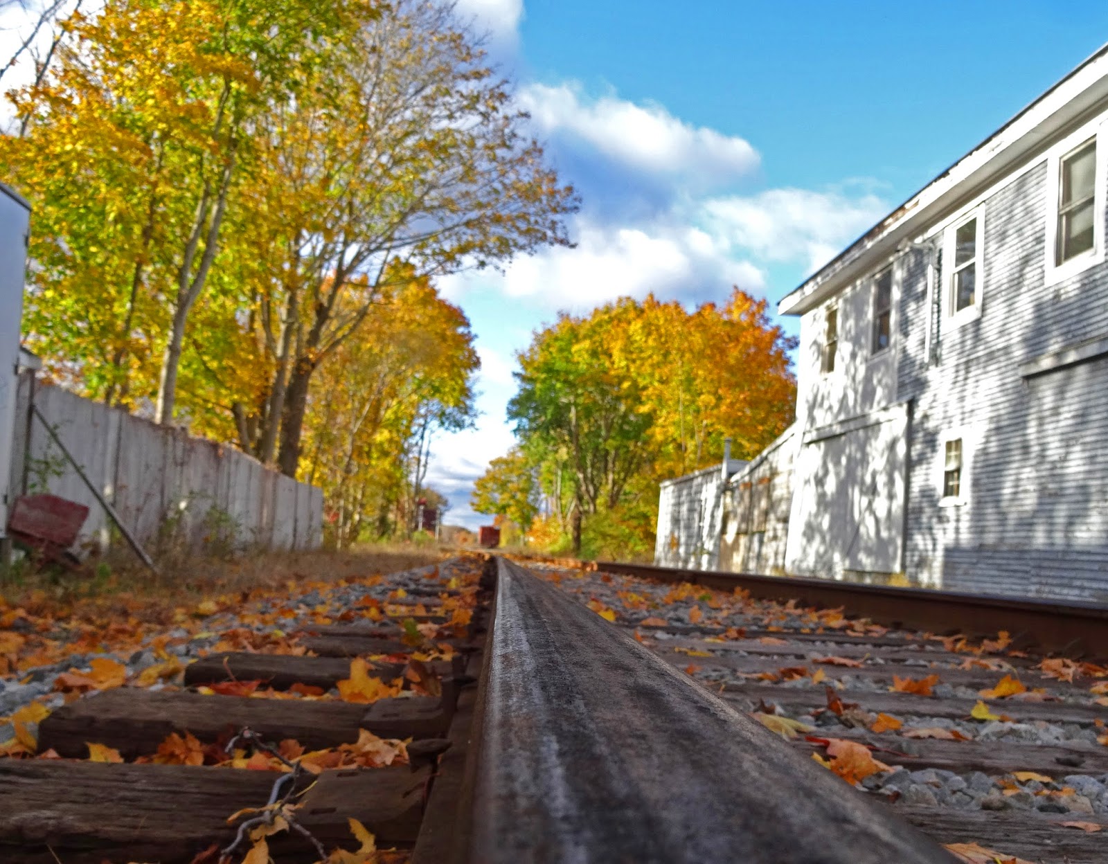 Joe's Retirement Blog: Fall, Sandwich, Cape Cod, Massachusetts, USA