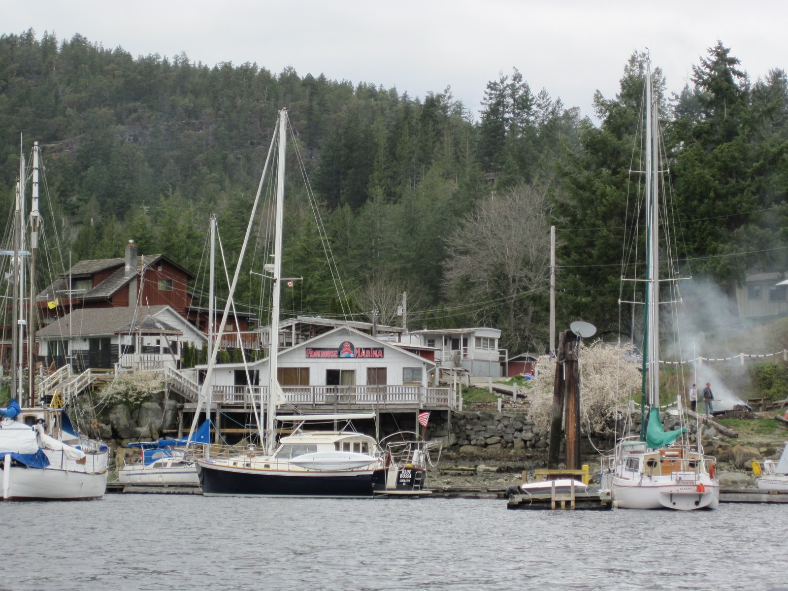 Blue Bossa's Blogs: Sunshine Coast Part 1