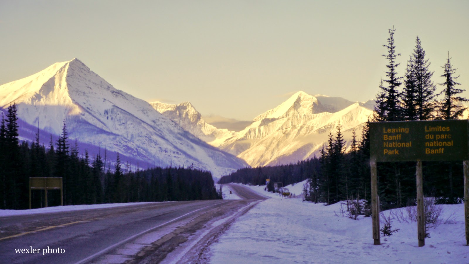 Skiing the X Couloir on Mt. Whymper - Global Alpine