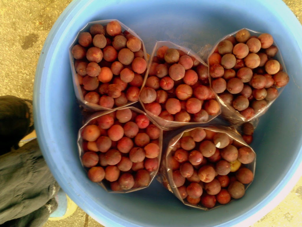 GUIA MEXICO.......... La guía de lugares que DEBES visitar si estas de ...