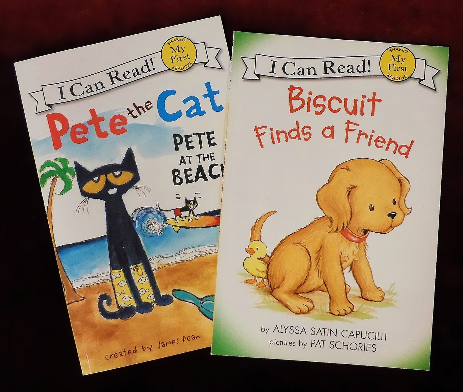 Landis' Labyrinth, Inc: You can read "I Can Read!" books!