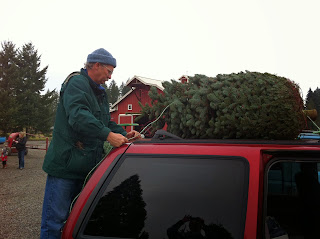 Sanna's Bag: In search of the wily Christmas tree