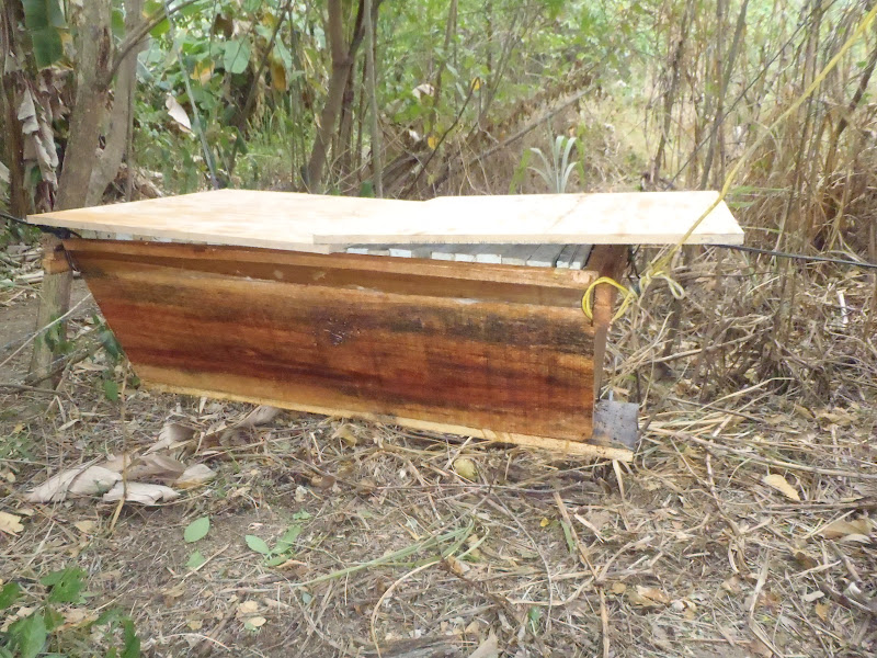 APISRED: Iniciamos nuestra incursion en la colmena KTBH, Top Bar Hive,o ...