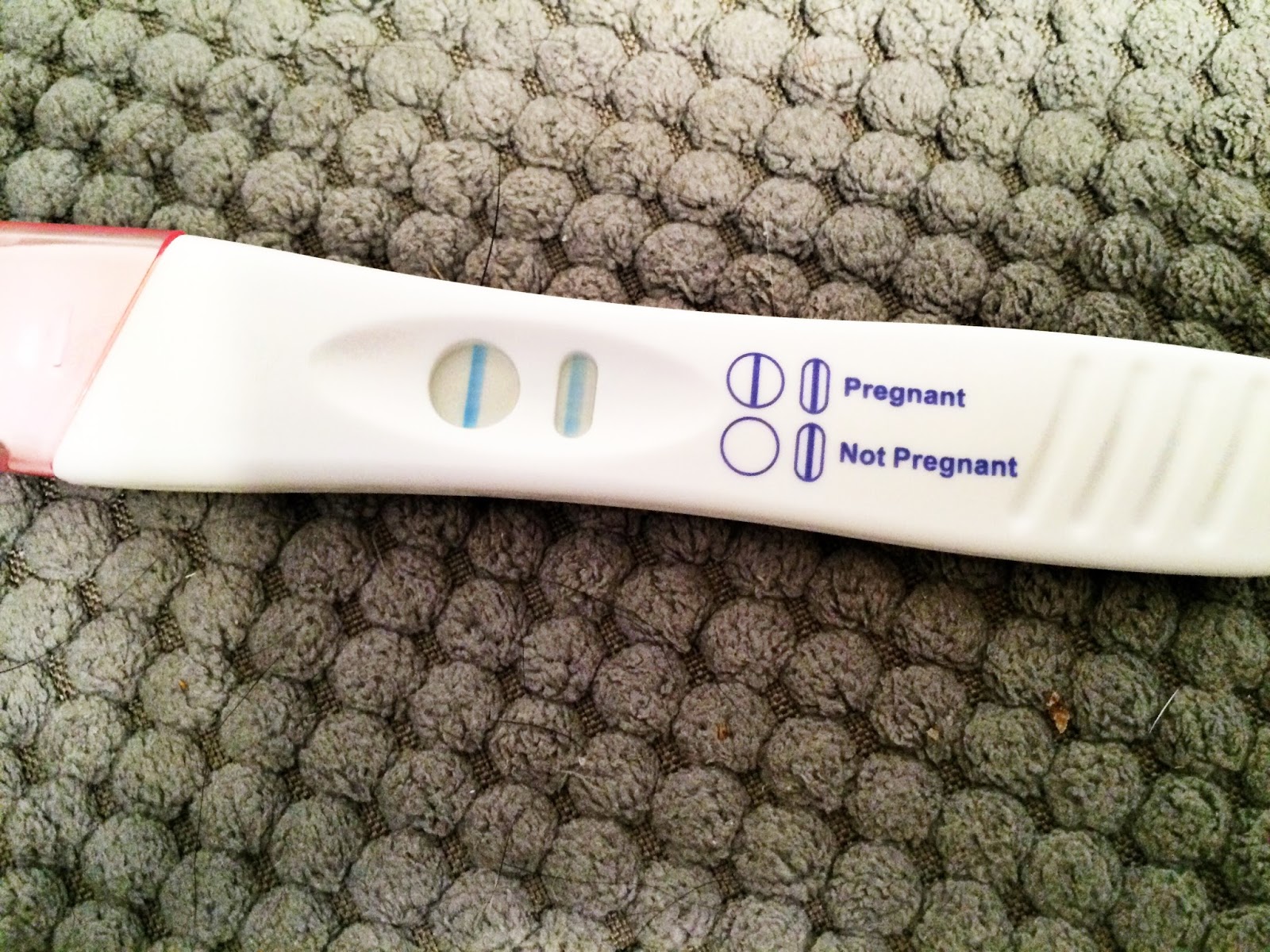 One Woman's Journey to the Heart of God: Embryo Adoption :: Blood ...