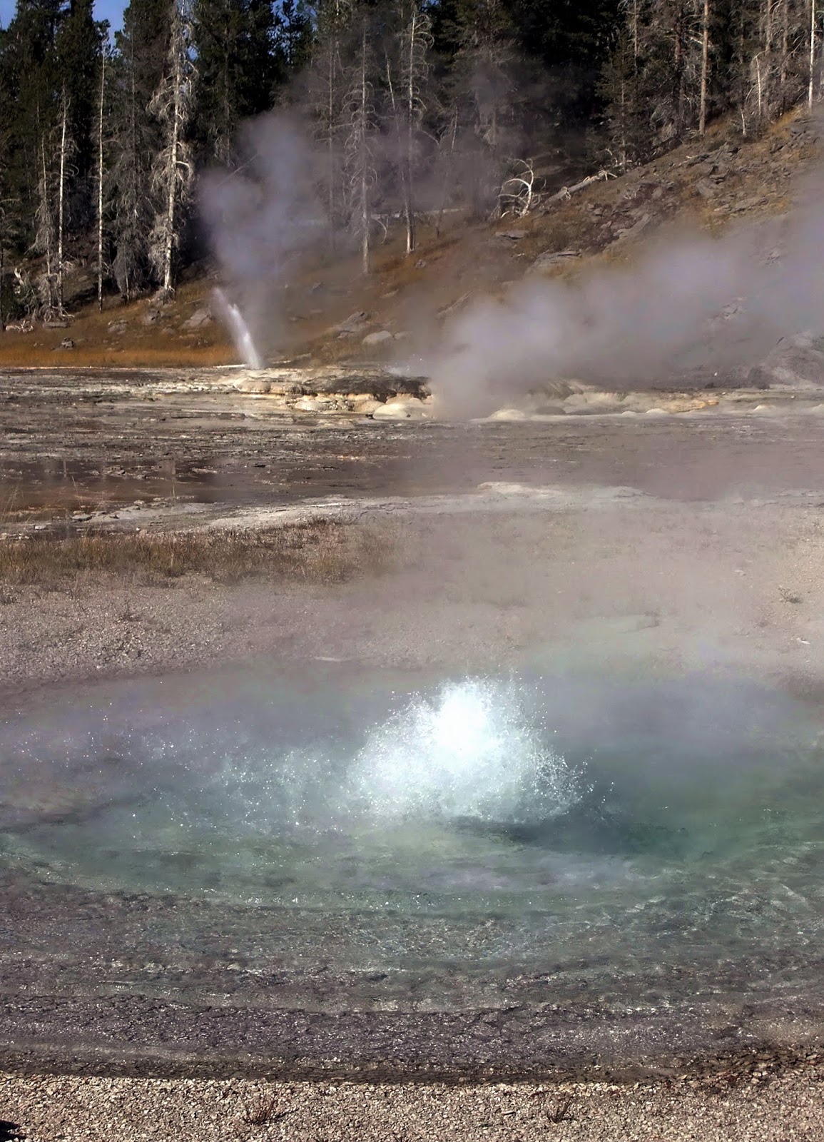 Focusing On Travel : Yellowstone: A Geyser Gazers Guide to the Upper ...