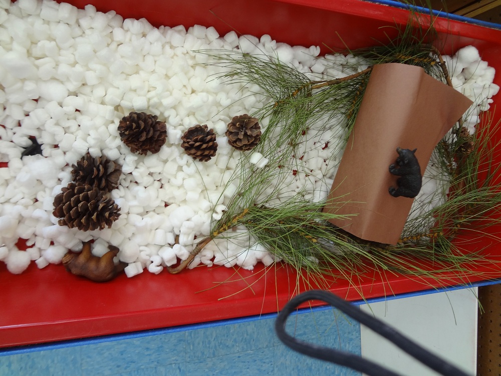 Everything Preschool: Hibernation