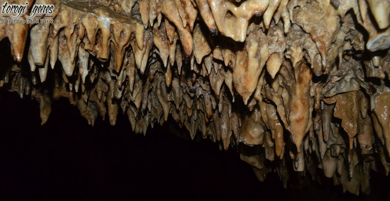 Lone Prowler: ARAN CAVE