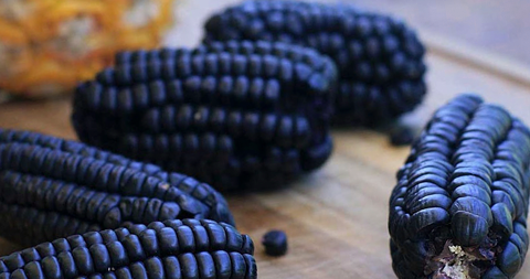 Peruvian Cuisine - Recipes, Ingredients and Traditions of Peruvian ...