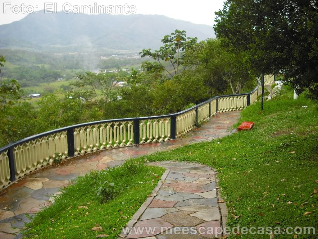 LA MARAVILLOSA CIUDAD DE MOYOBAMBA Y SU RIQUEZA: LAS PUNTAS DE MOYOBAMBA